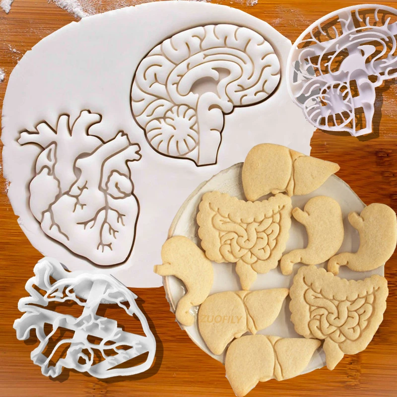 Internal Organs Cookie Embossed Mold Brain Heart Liver Stomach Fondant ...
