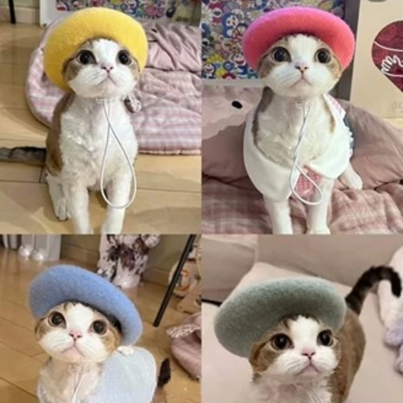 Boina-bonita-de-Color-s-lido-para-mascotas-sombrero-de-lana-para-gatos ...