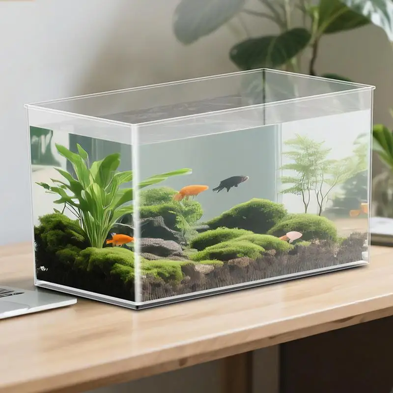 Small Aquarium Betta Tank Frameless Extra Clear Bowl For Crab Spider ...