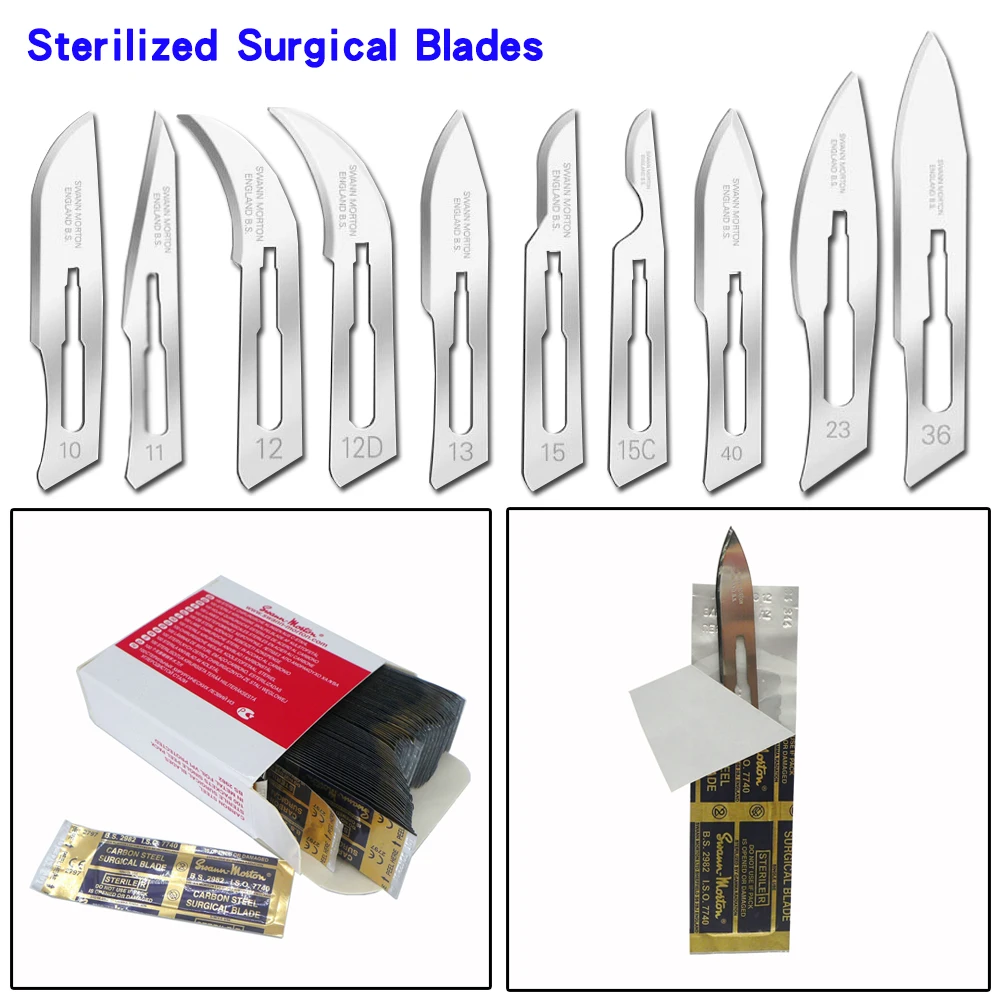 Blade Knife Carbon Steel Surgical | Carbon Steel Stand Alone Pack ...