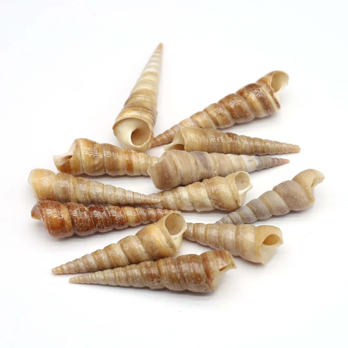 Fashion-Long-Snails-Shell-Beads-Natural-Spiral-Conch-Seashell-No-Hole ...