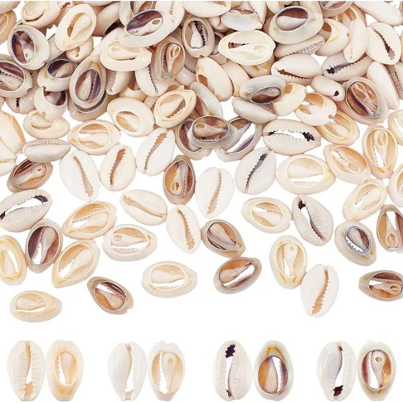 160pcs-Spiral-Seashell-Beads-Beach-Cowrie-Shells-Large-Oval-Seashells ...