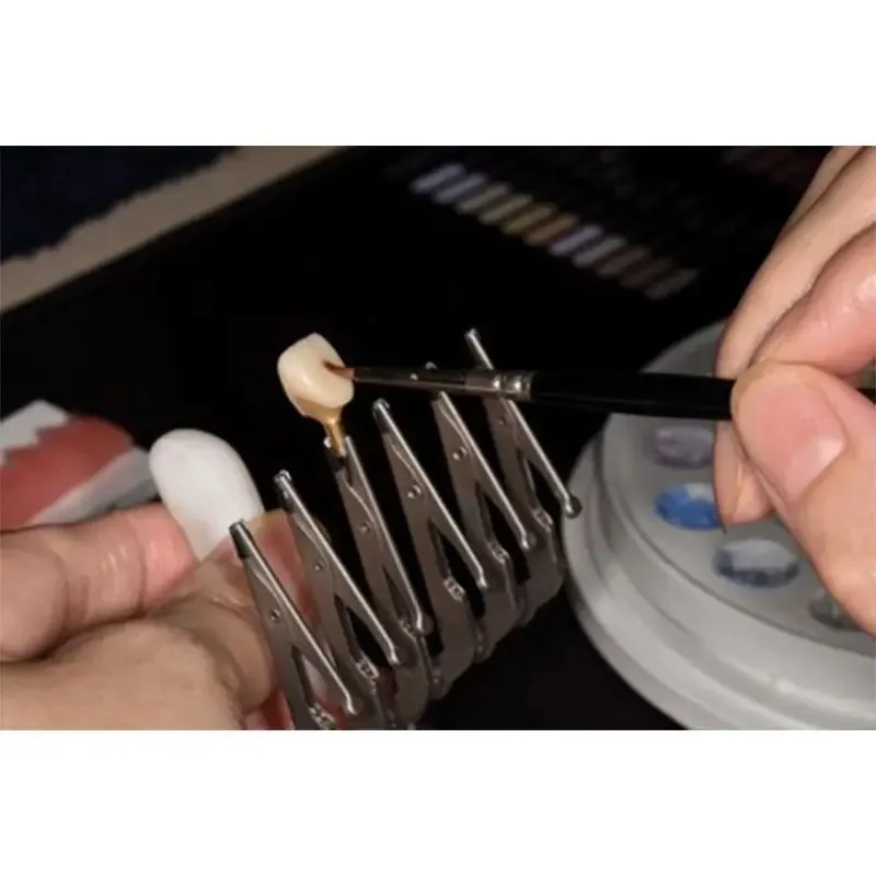 Dental-Porcelain-Six-tooth-Clips-Hex-Clamps-Denture-Holder-Soft-Head ...