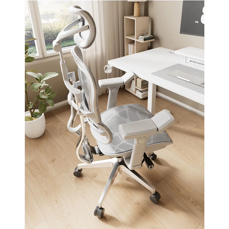 Ergoup Ergonomic Chair Computer Chair Office Boss Waist Gaming Chair ...