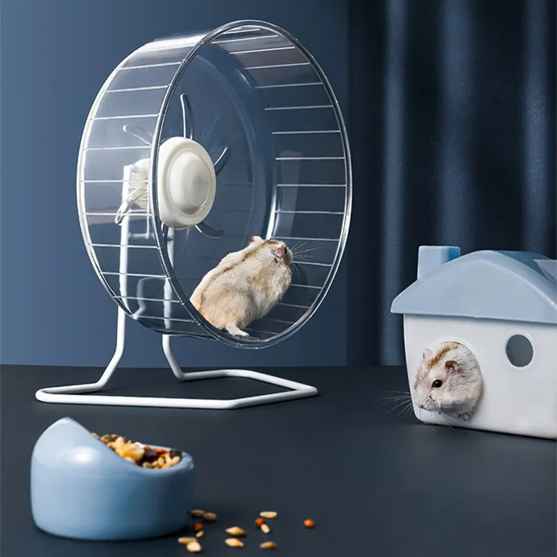 Empty Hamster Wheel