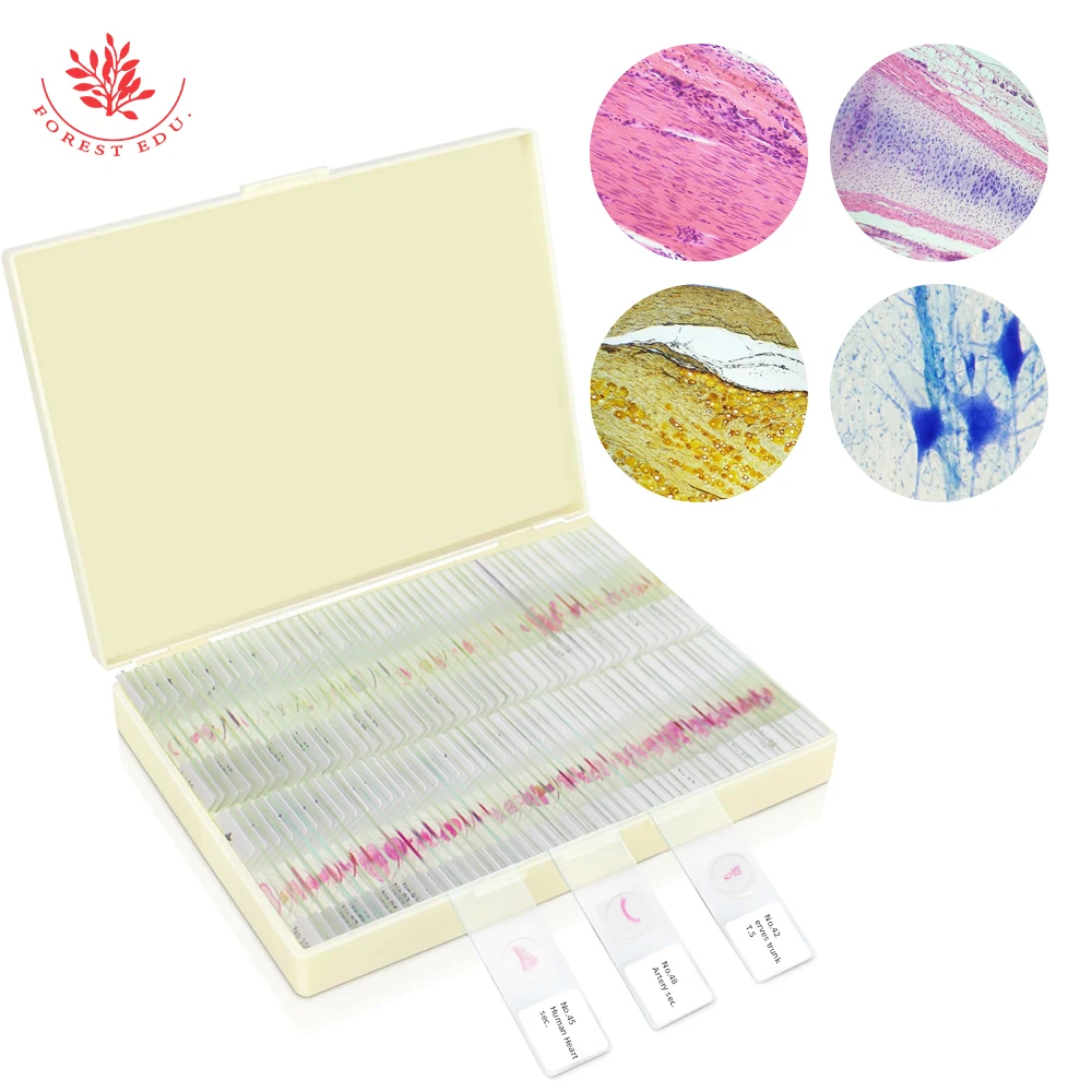 FRT2001-Histology-Slides-100pcs-Normal-Tissue-Teaching-Resource-Biology ...