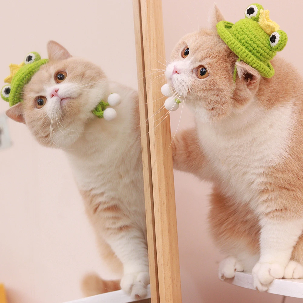 Cats With Frog Hats