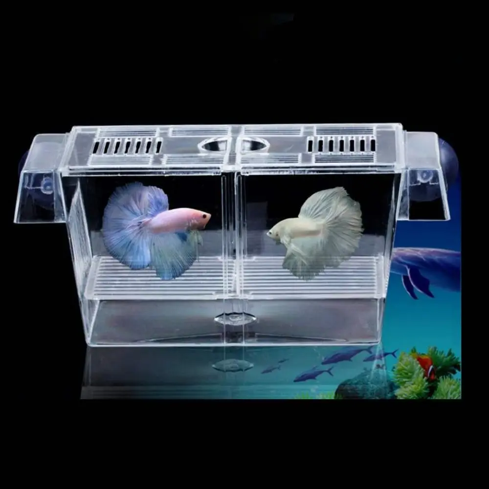 Fish-Tank-Breeding-Isolation-Box-Transparent-Acrylic-with-Suction-Cups ...