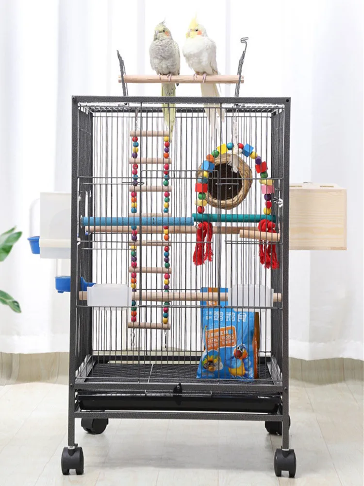 Conure Bird Cages