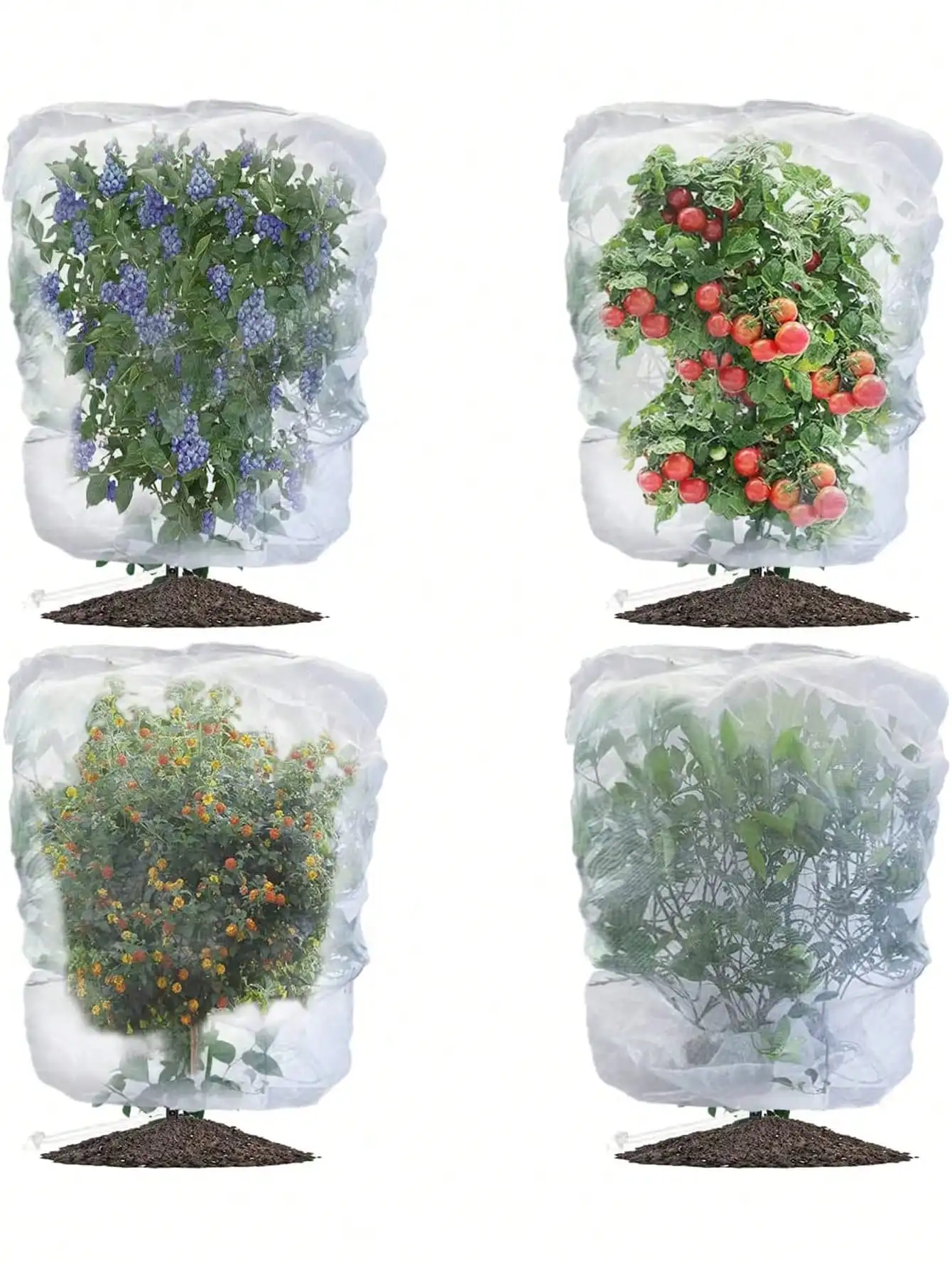 3pcs-Garden-Plant-Fruit-Blueberry-Bush-Protective-Mesh-Cover-with ...