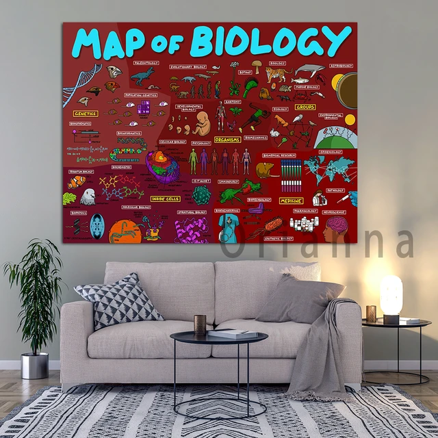 Biology Classroom Decorations