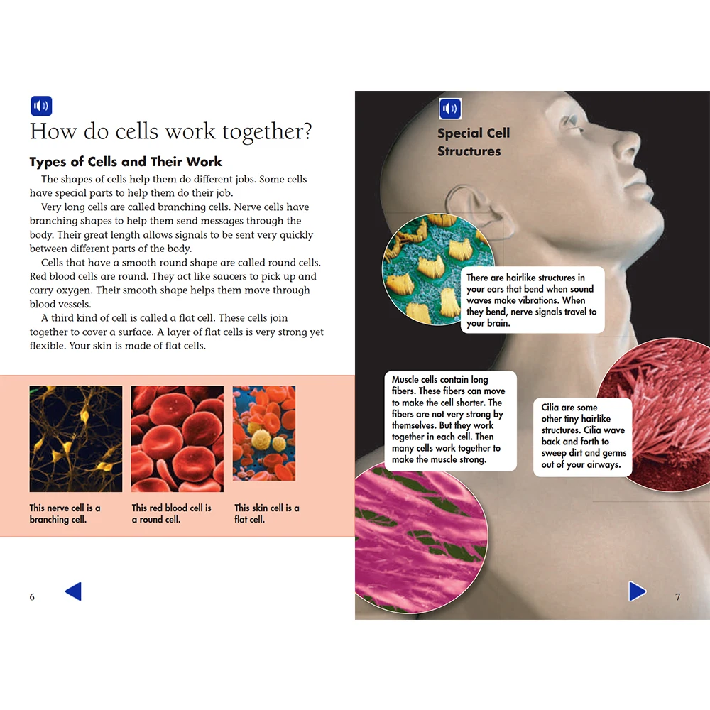 54 book life science grade 5 Series English Books Children cognition ...