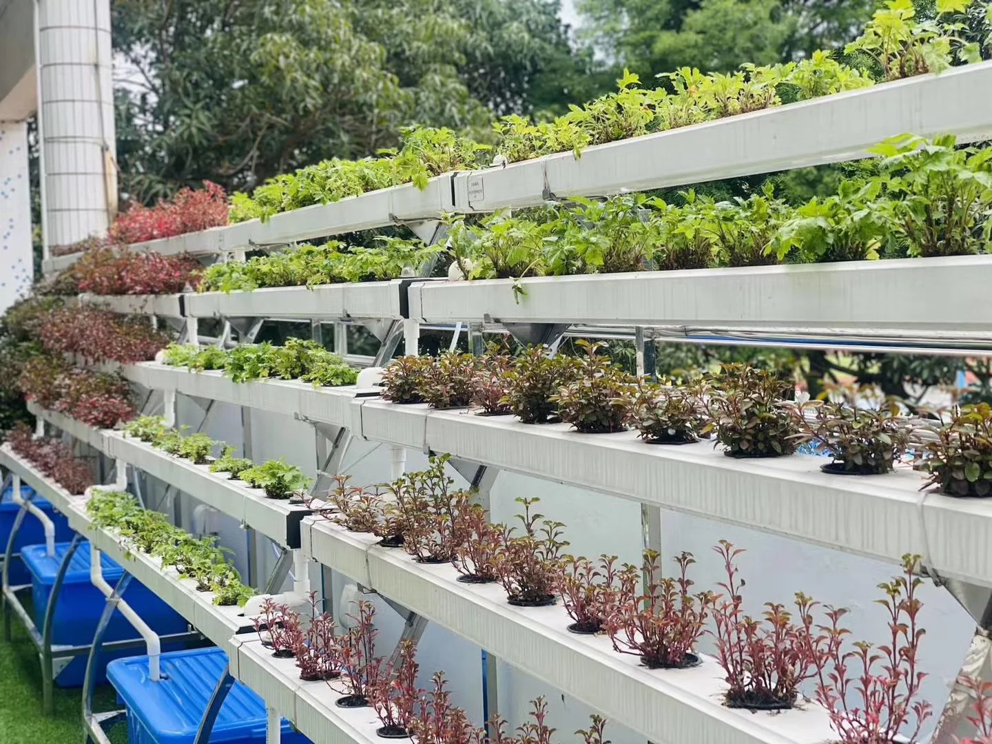 2M-Length-Complete-NFT-Hydroponic-Pipe-System-Kit-5-Layers-55-Hole ...