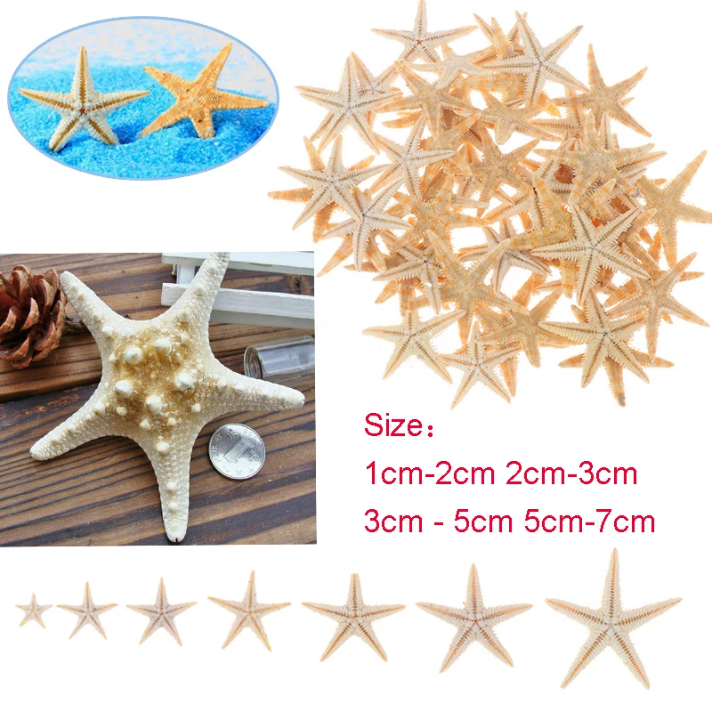 5/25/50pcs Mini Starfish Shell Craft Decoration Natural Sea Stars Diy ...
