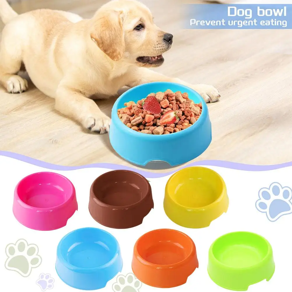 Cute Multi-Purpose Candy Color Plastic Dog Feeders: Real-World Insights ...