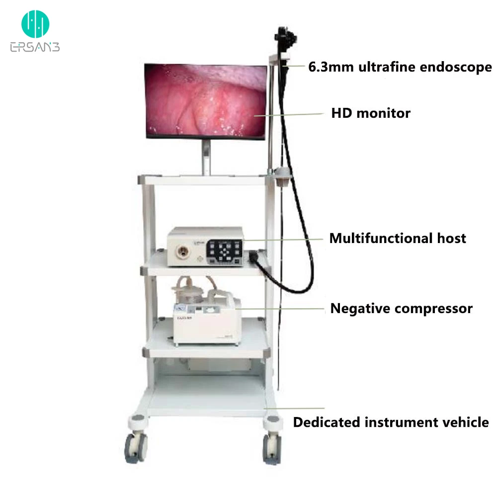 Top-quality-Medical-Pet-Video-Gastroscopy-Camera-Veterinary-Endoscope ...