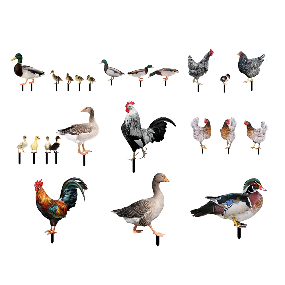 2D Acrylic Rooster Sculpture Chicken Garden Stakes Ornaments Hen and ...