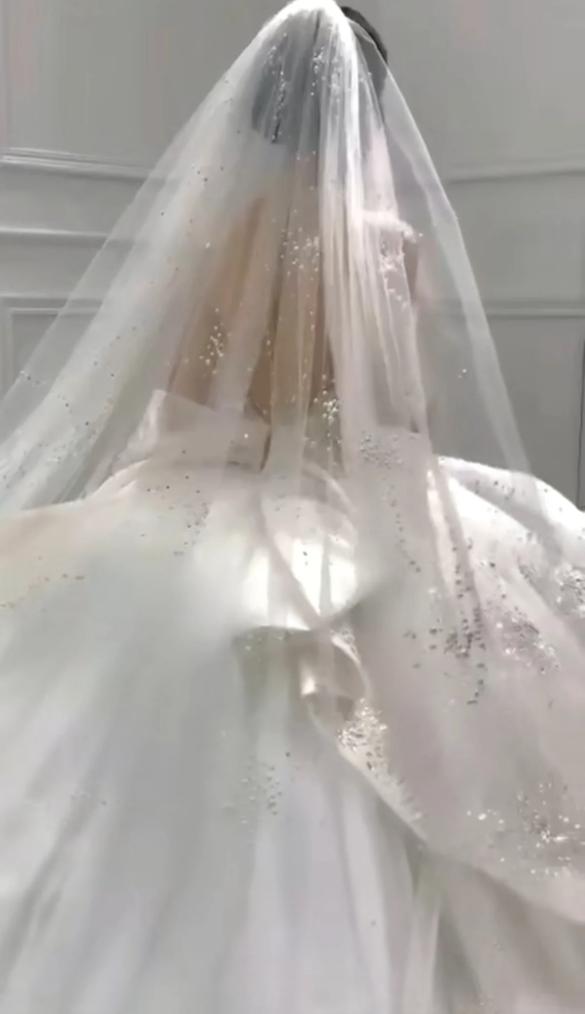 Glitter Tulle Veil Cathedral Shinny Wedding Veil Off White Veil With ...