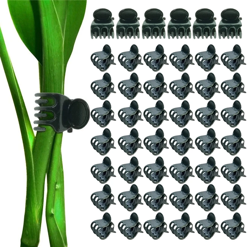 20 100Pcs Garden Plant Clips Butterfly Orchid Flower Support Clamp ...