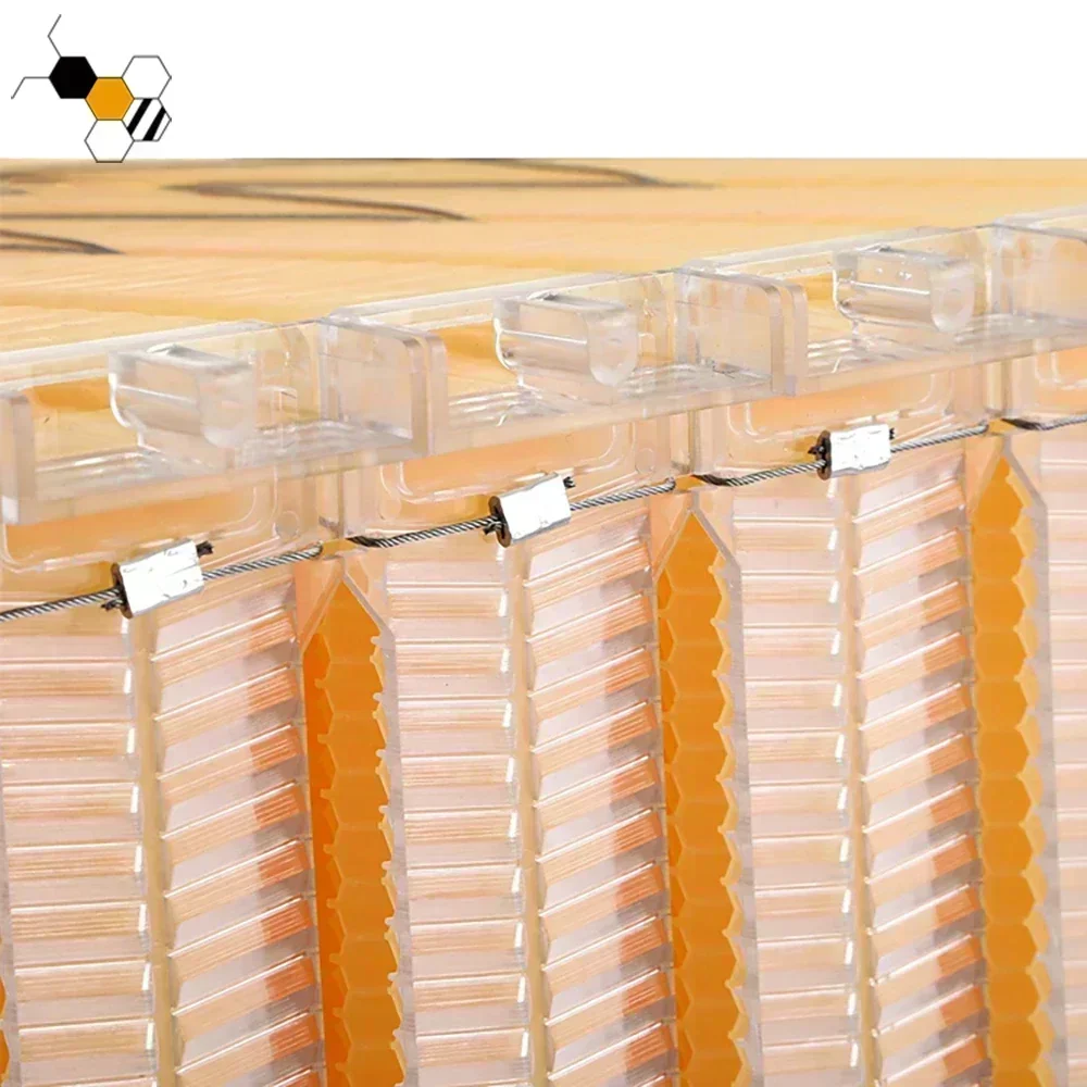 Automatic-Self-Flowing-Honey-7-Bee-Hive-Frames-Set-Apiculture-Equipment ...
