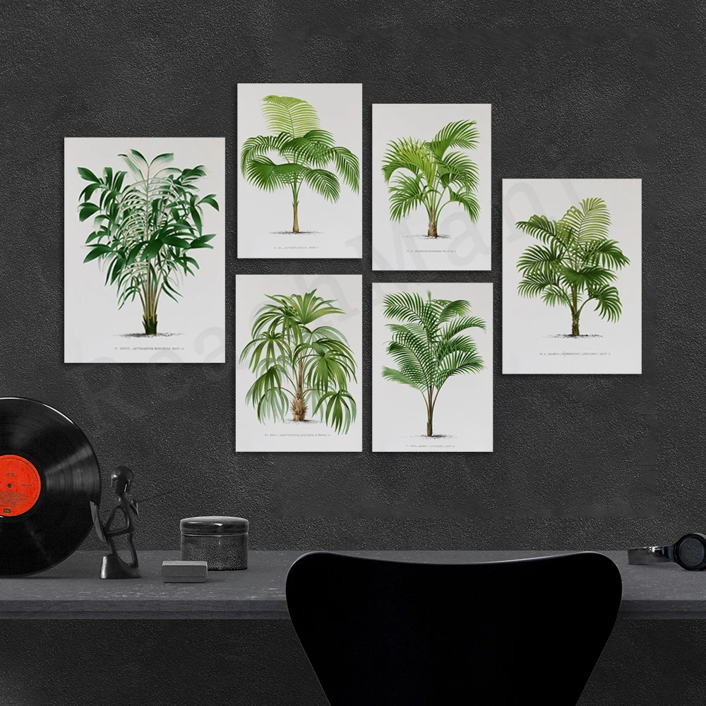 Palm Tree Print