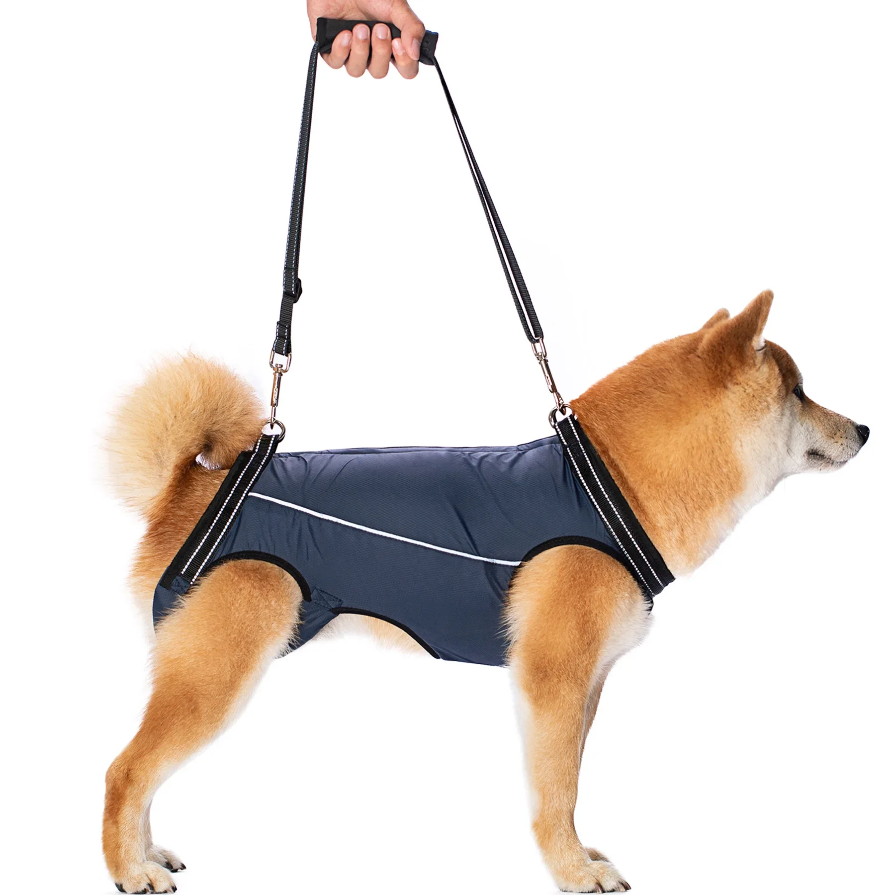 - AliExpress