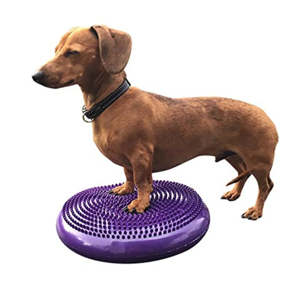 Pet-Dog-Balance-Round-Ball-Sports-Fitness-Rehabilitation-Hip-And-Knee ...