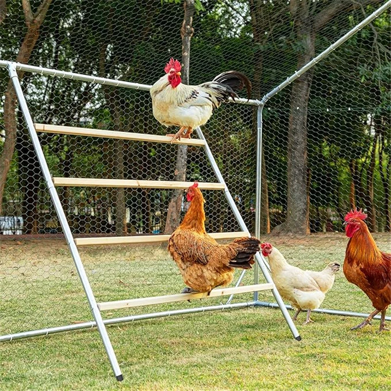 Chicken Perches Chicken Roosting Perch Activity Play with Swing Set ...