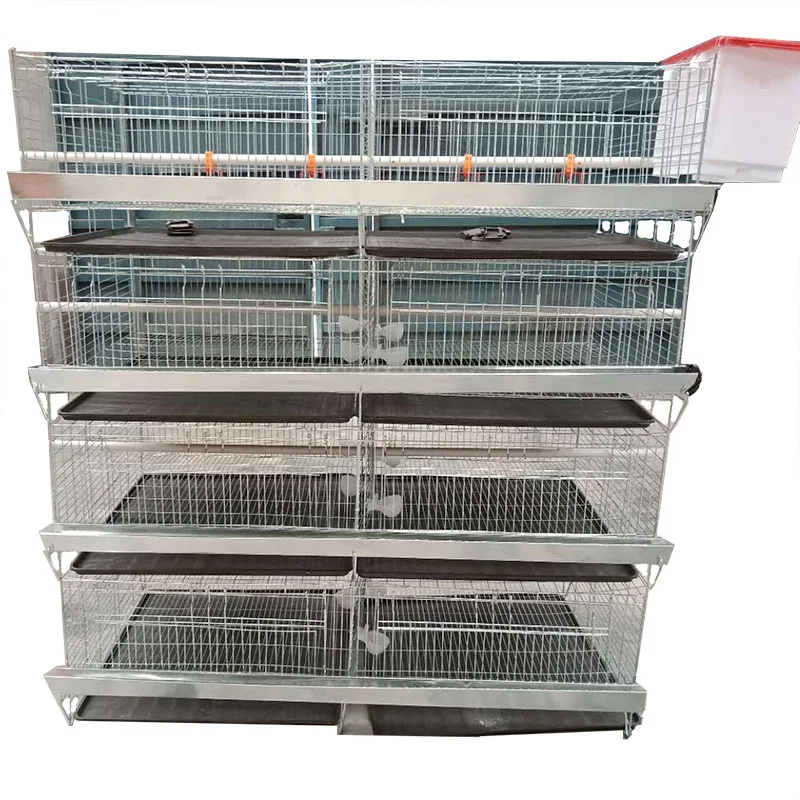 H-Type-Layer-Chicken-Cage-Steel-Stepped-Cages-For-Chicken-Used.jpg