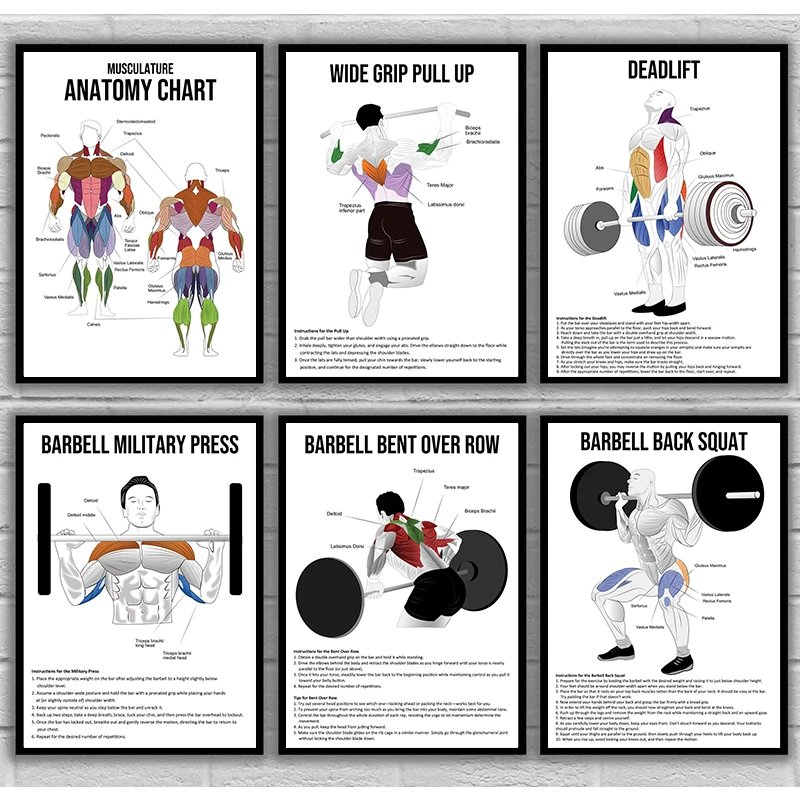 Weight Lifting Exercises Diagrams