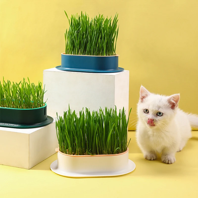 Pet-Cat-Sprout-Dish-Growing-Pot-Hydroponic-Plant-Cat-Grass-Germination ...