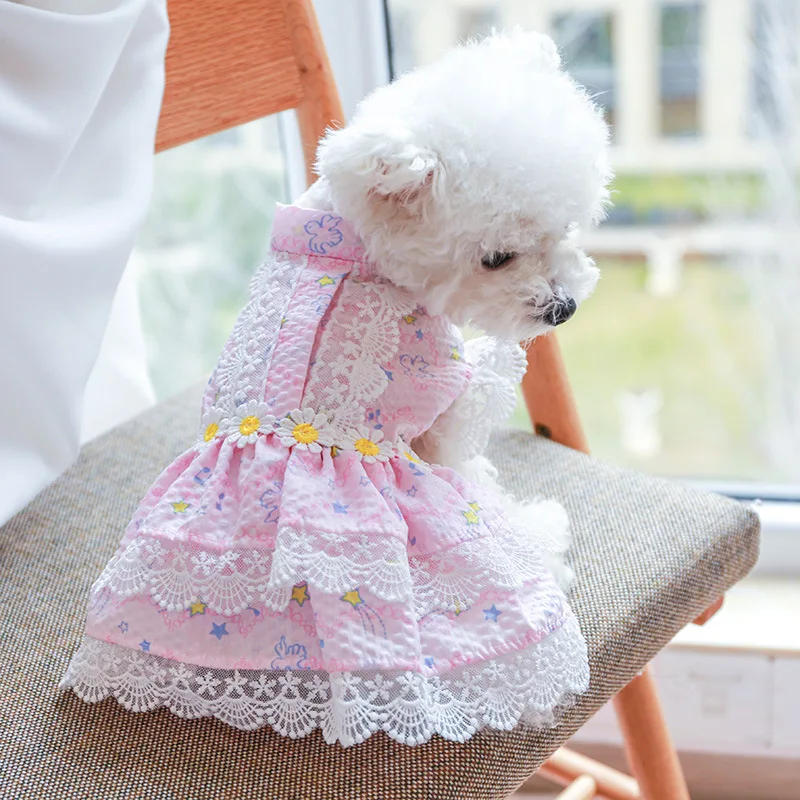Daisy-Designer-vestiti-per-cani-ragazza-abiti-per-cani-bordo-in-pizzo ...
