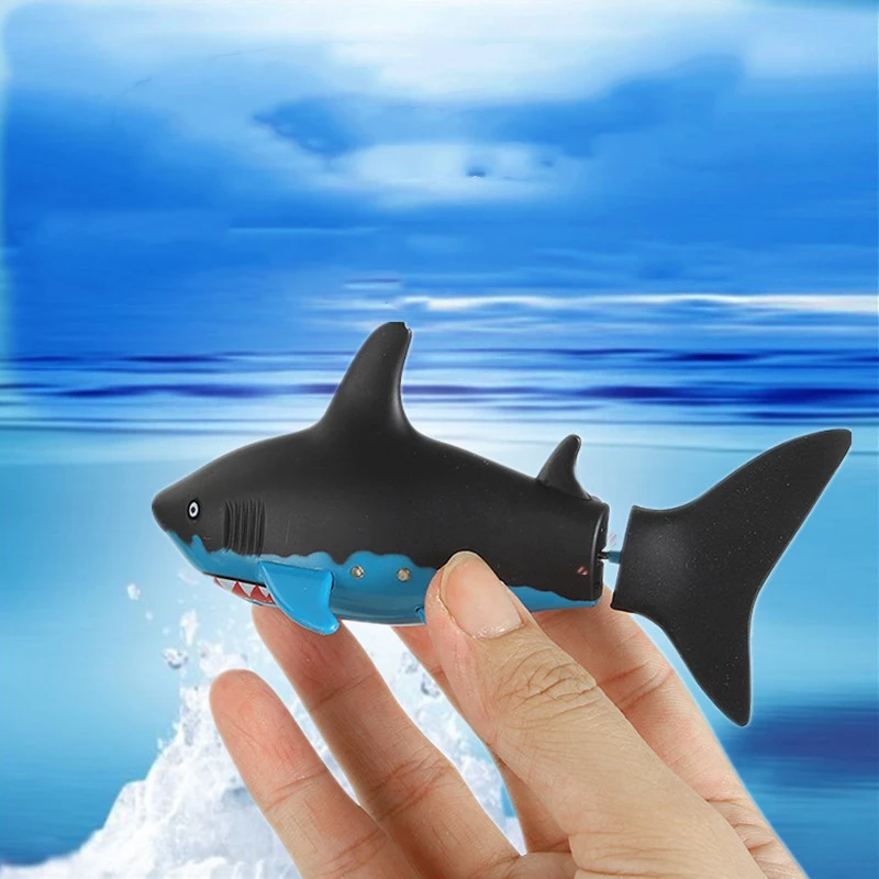 Mini Sharks For Fish Tanks