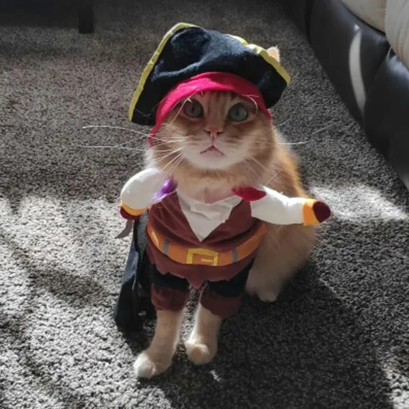 Store Home Products ChoiceDay Feedback