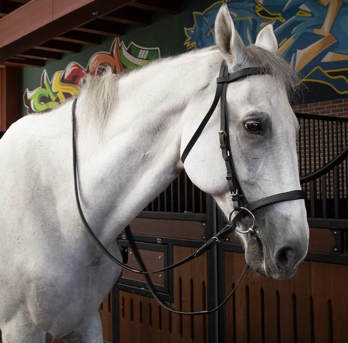 Handmade-Genuine-Leather-Horse-Reins-Custom-Logo-Vintage-Style-Short ...