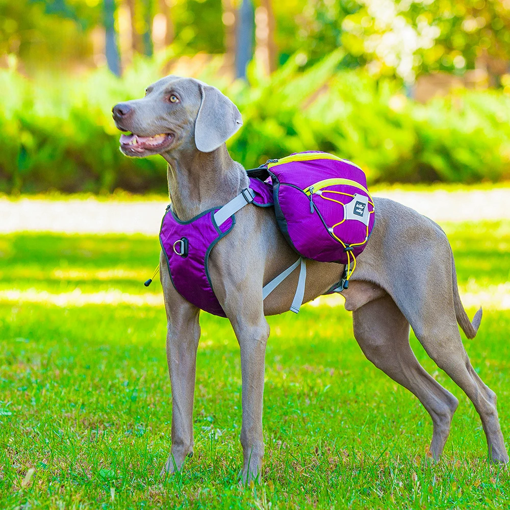 Dog-chest-backpack-back-outdoor-sports-weight-vest-adjustable-chest ...