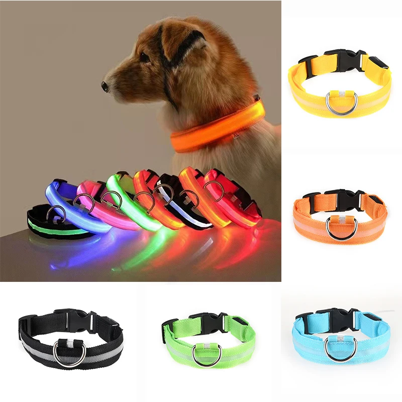 New-arrive-dog-luminous-collar-LED-collar-dog-pet-collar-pet-night ...