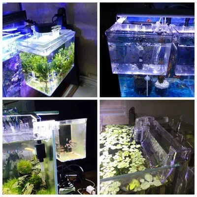 Dophin BB10 BB11 External Incubator Isolation Box with Water Pump ...