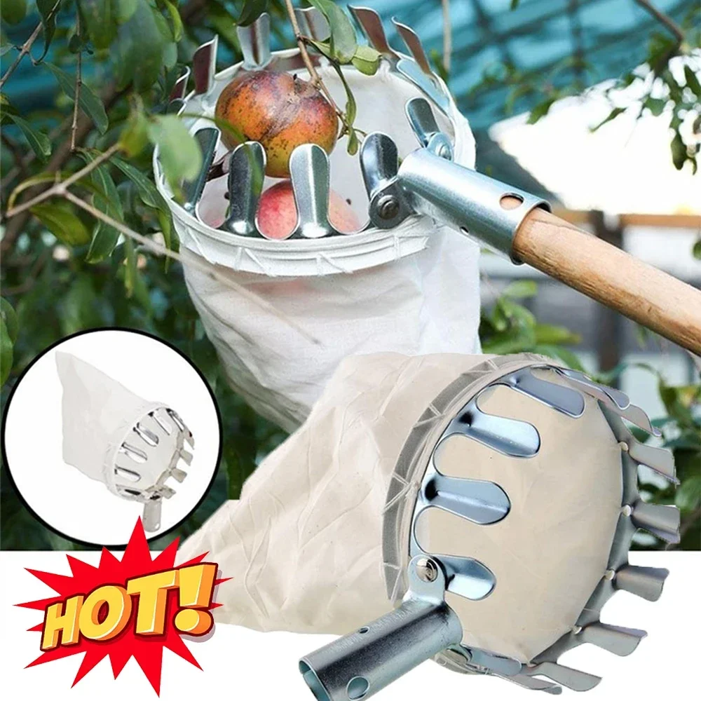 Garden Fruit Picker Head Orchard Apple Pears Orange High Tree Picking ...