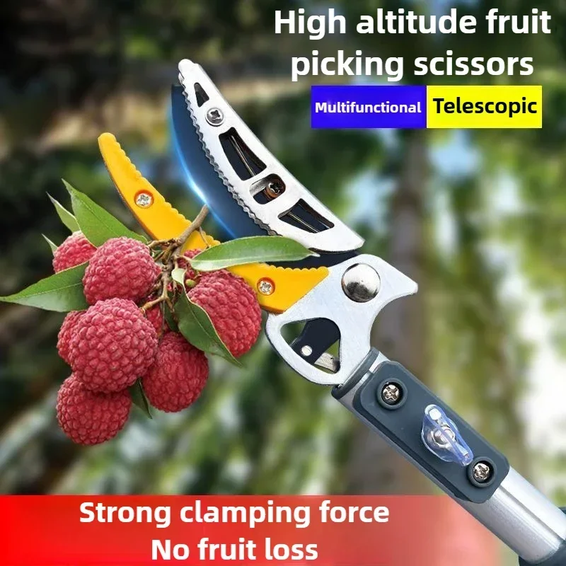 Height Telescopic Fruit Picker Loquat Berry High Tree Fruit Collector ...