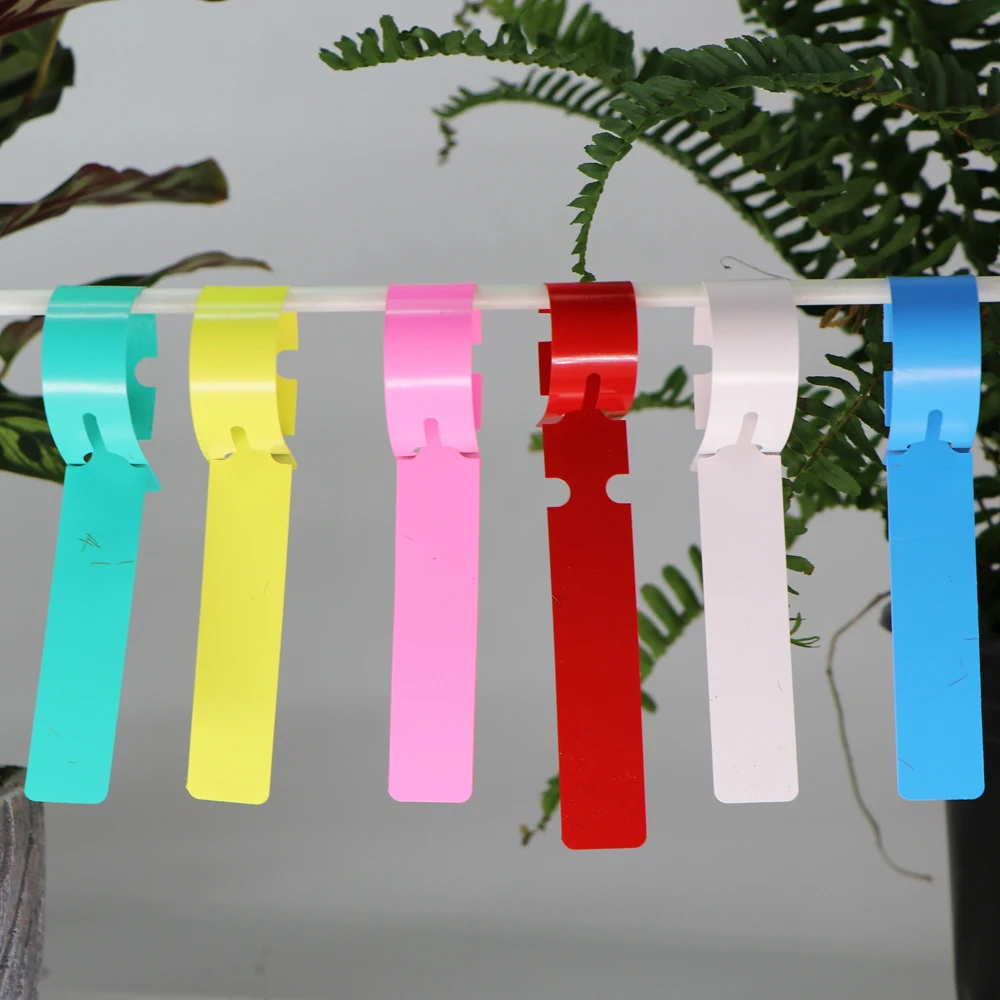 Marque-plante,Étiquette plastique ajustable pour plantes de jardin ...