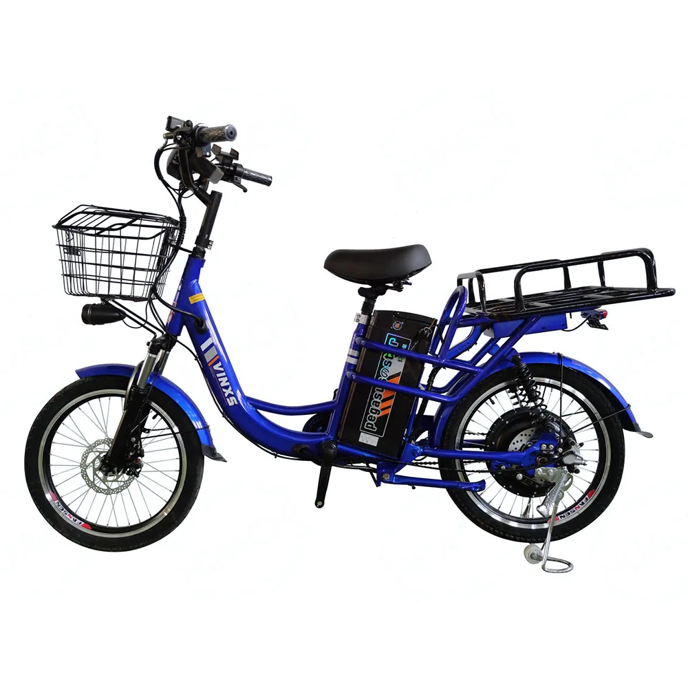 48V12/16/22A Electric Bicycle 20 Inches Assistance Bike Lithium Battery ...