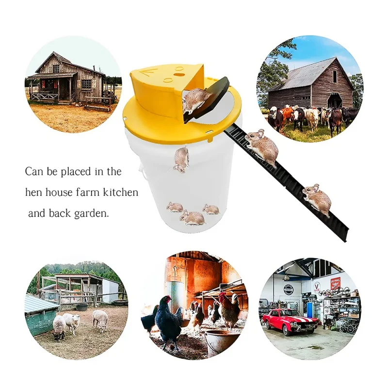 Bucket Mouse Trap Farm