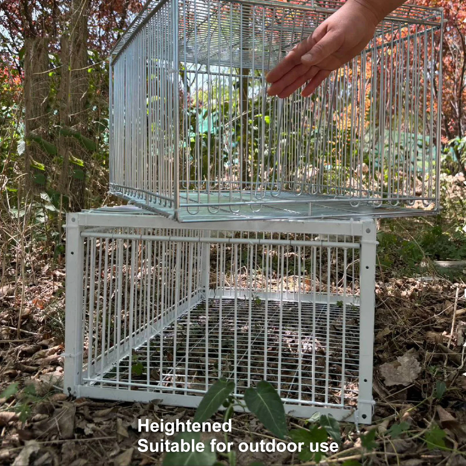 Chicken Bird Trap Cage Escape Proof Chicken Bird Trap Cage Versatile ...