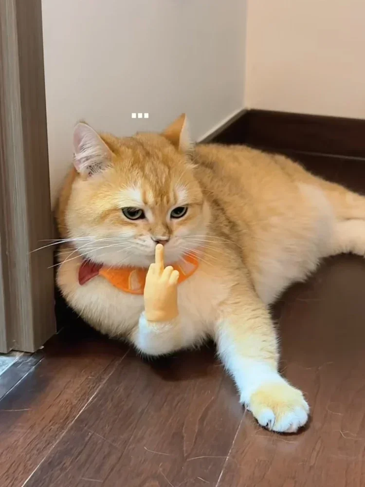 Stretchable-Palm-shaped-Cat-Fake-Hand-Gloves-Funny-Silicone-Cats-Mini ...