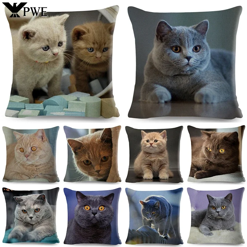 45x45cm-Fold-Ear-Cat-Pillow-Covers-Cute-Pet-Animal-Pillowcase-Orange ...
