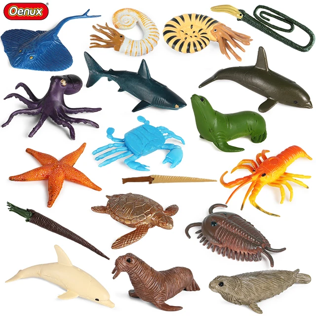 Ocean Life Animals