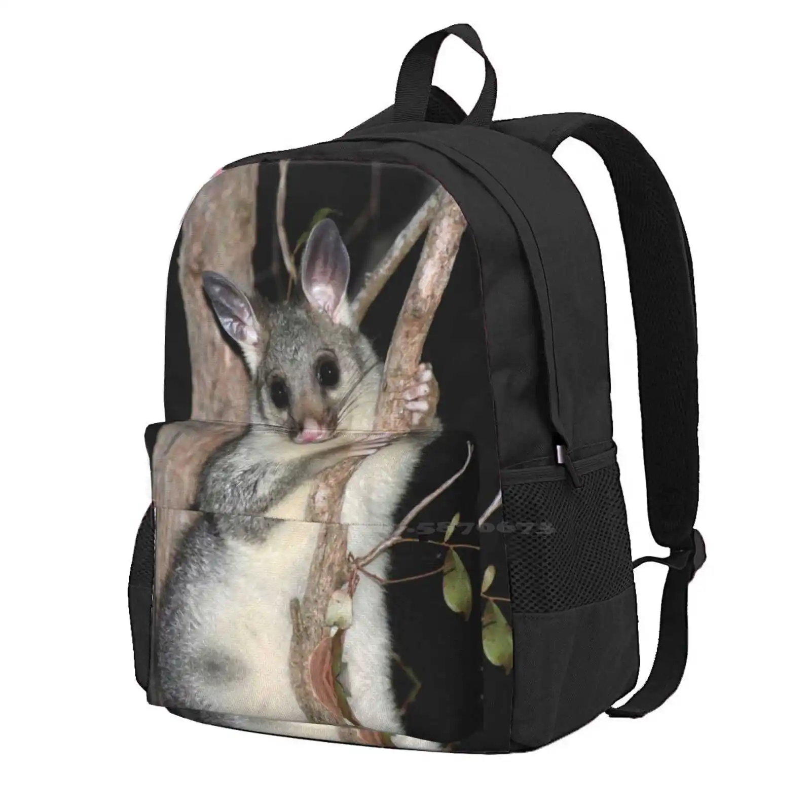 Australian-Brushtail-Possum-Young-Teen-College-Student-Backpack-Laptop ...