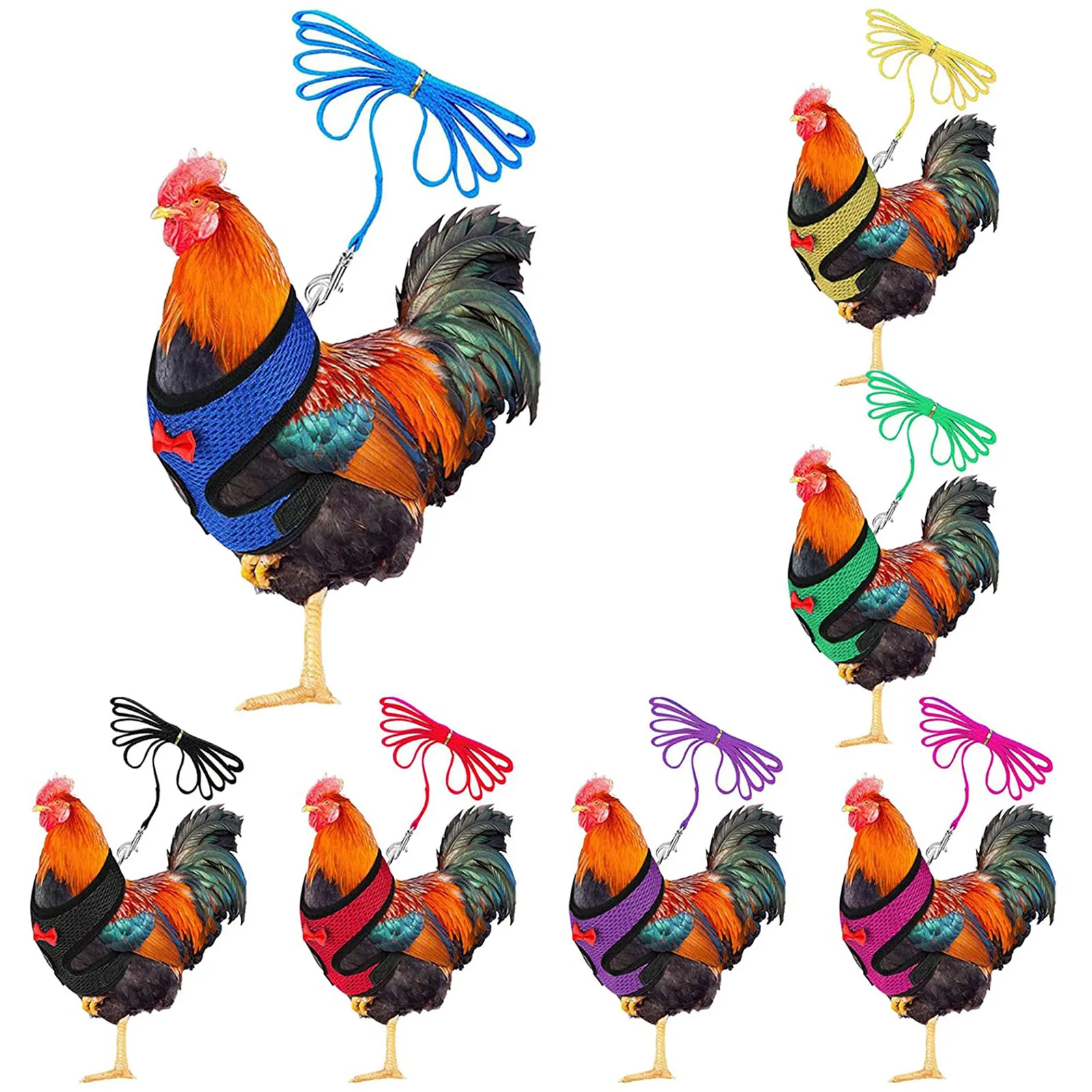 Chicken-Rope-With-Leash-And-Matching-Belt-Comfortable-Hen-Pet-Vest ...