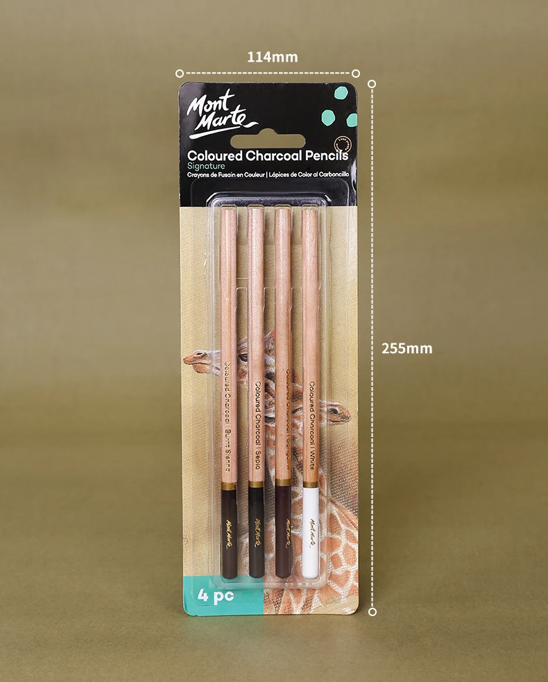 Kit de dessin,Ensemble de crayons à dessin en carbone blanc pour ...
